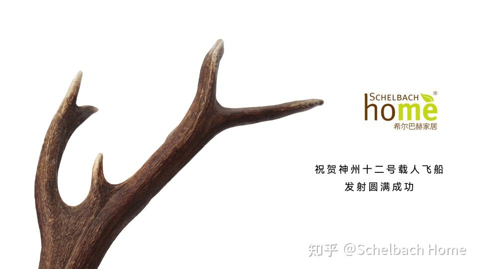 希尔巴赫家居的祝福 - 知乎