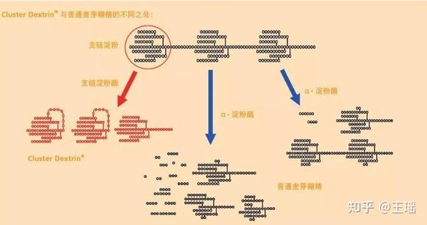 关于高支链环状糊精（Cluster Dextrin®）在运动补剂中的作用与效果 - 知乎