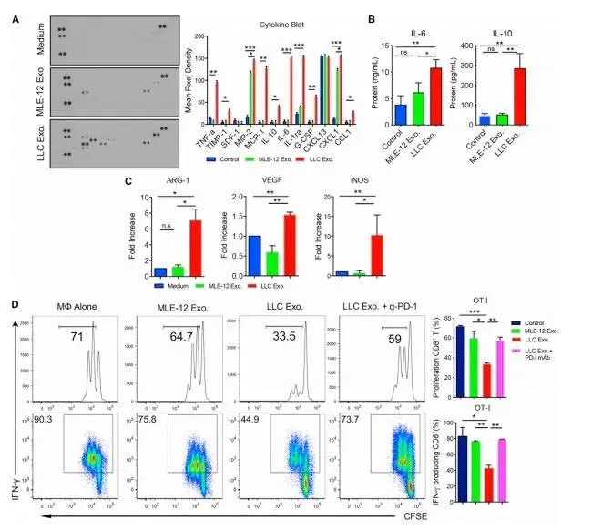 Cell Metab|肿瘤源外泌体驱动转移前微环境中免疫抑制巨噬细胞 - 知乎