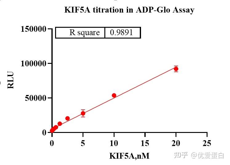 优爱蛋白：开启KIF蛋白研究的“新引擎” - 知乎