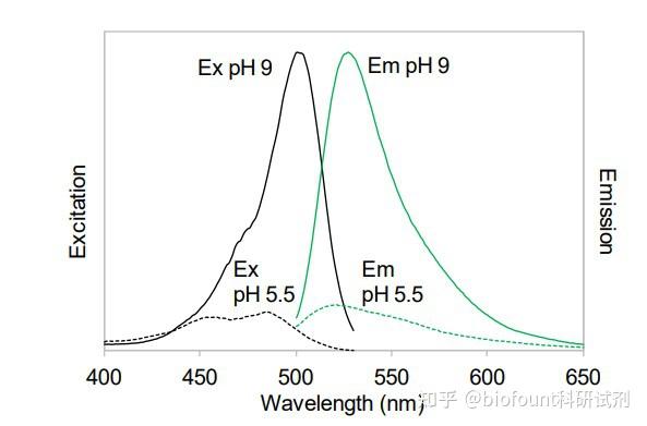 BCECF（CAS: 85138-49-4；pH荧光指示剂） - 知乎