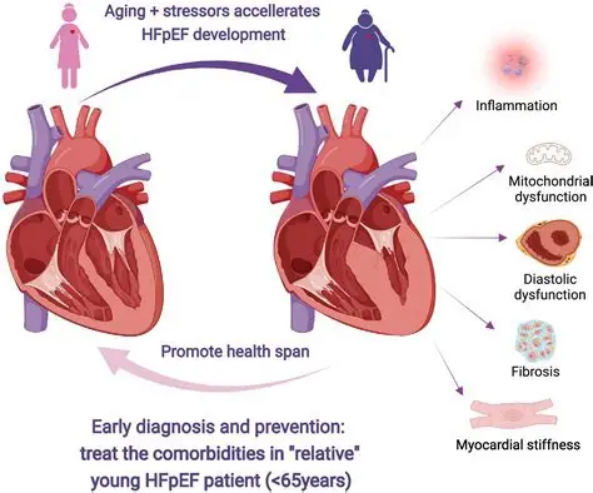 全球首创！心衰诊断难题终破解，亚辉龙BCAA/BCKA检测试剂面世 - 知乎