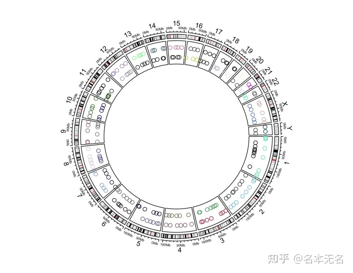 R 数据可视化 —— circlize 基因组绘图函数 - 知乎