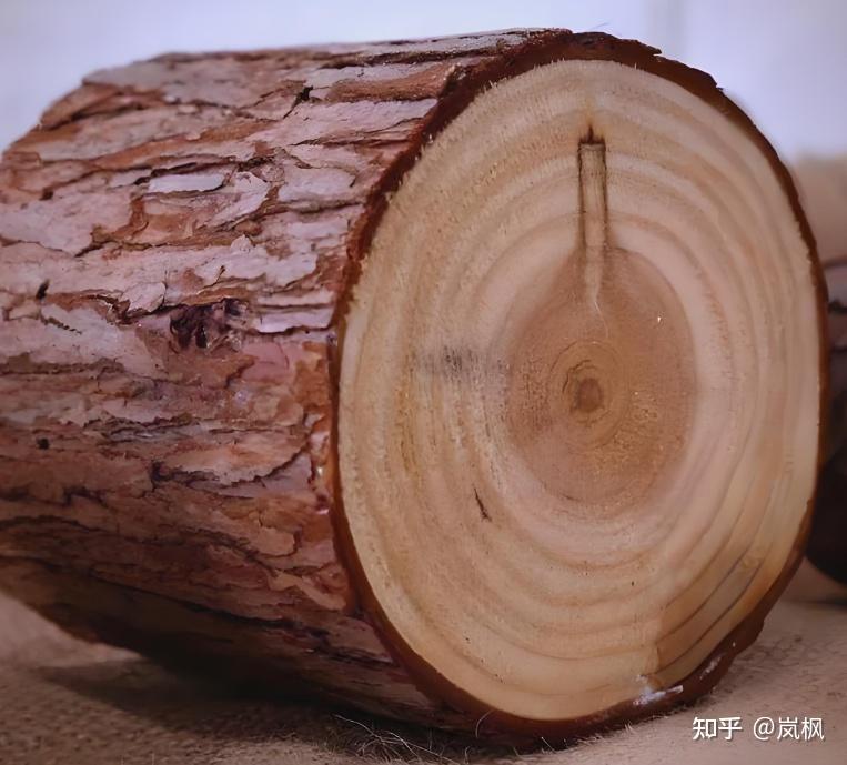 人养木，木养人 | 壮象香杉实木醇香板——传承“人木相养”的智慧，缔造会呼吸的家！ - 知乎