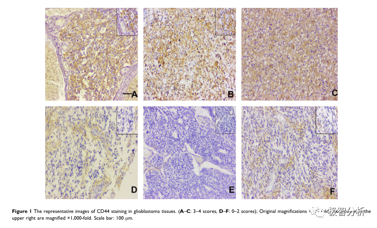PICOT模式——实现临床研究的起步 - 知乎