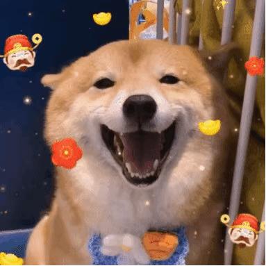 再分享一些狗狗表情包(›´ω`‹ ) - 知乎