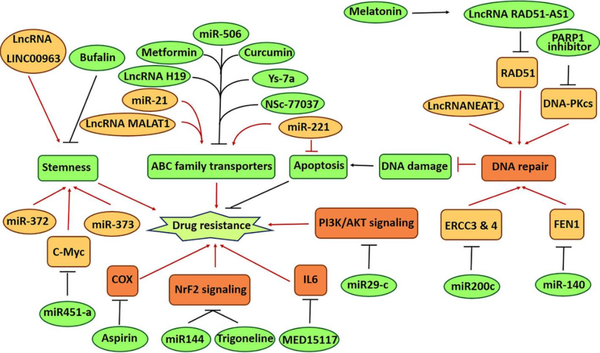 sgRNA文库想做个自我介绍 - 知乎