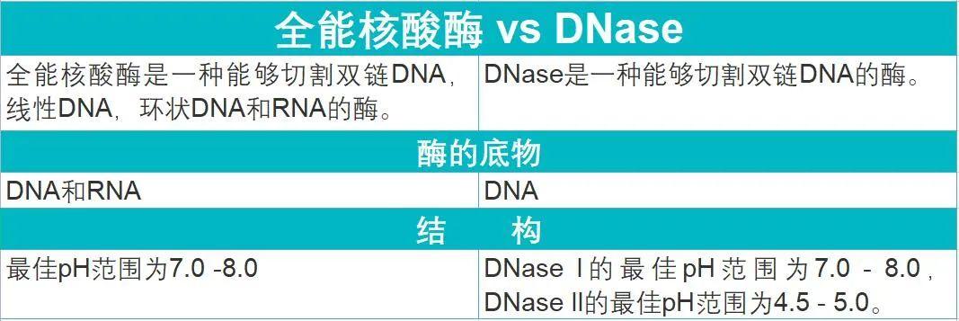 逐典小课堂 | Pannarase全能核酸酶与DNA酶的差异介绍 - 知乎