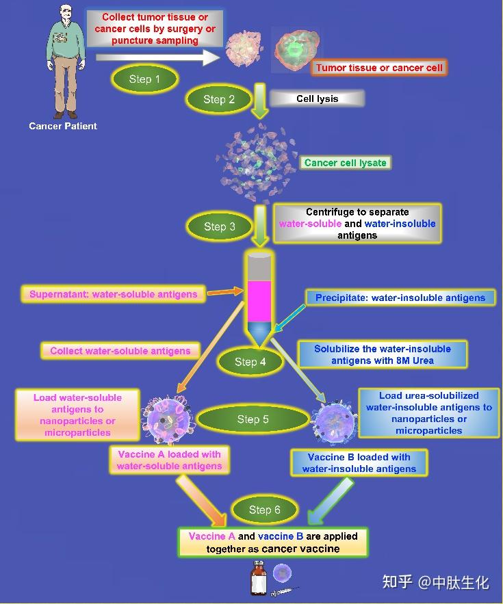 Advanced Science：基于肿瘤细胞或者肿瘤细胞/组织裂解液的癌症疫苗 - 知乎