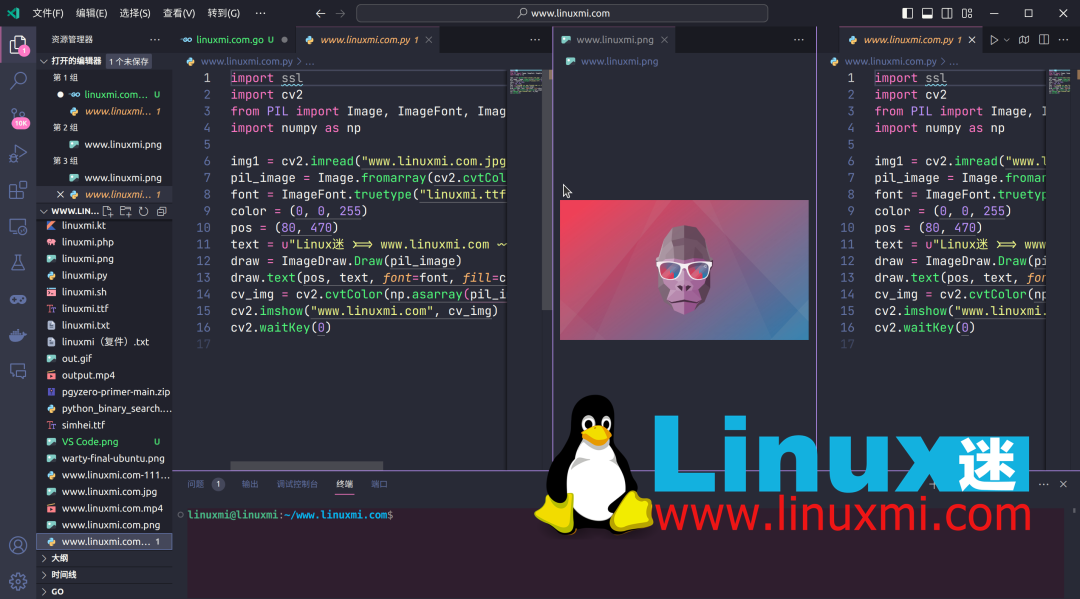 编程利器 VS Codium vs. VS Code，哪个才是你的菜？ - 知乎