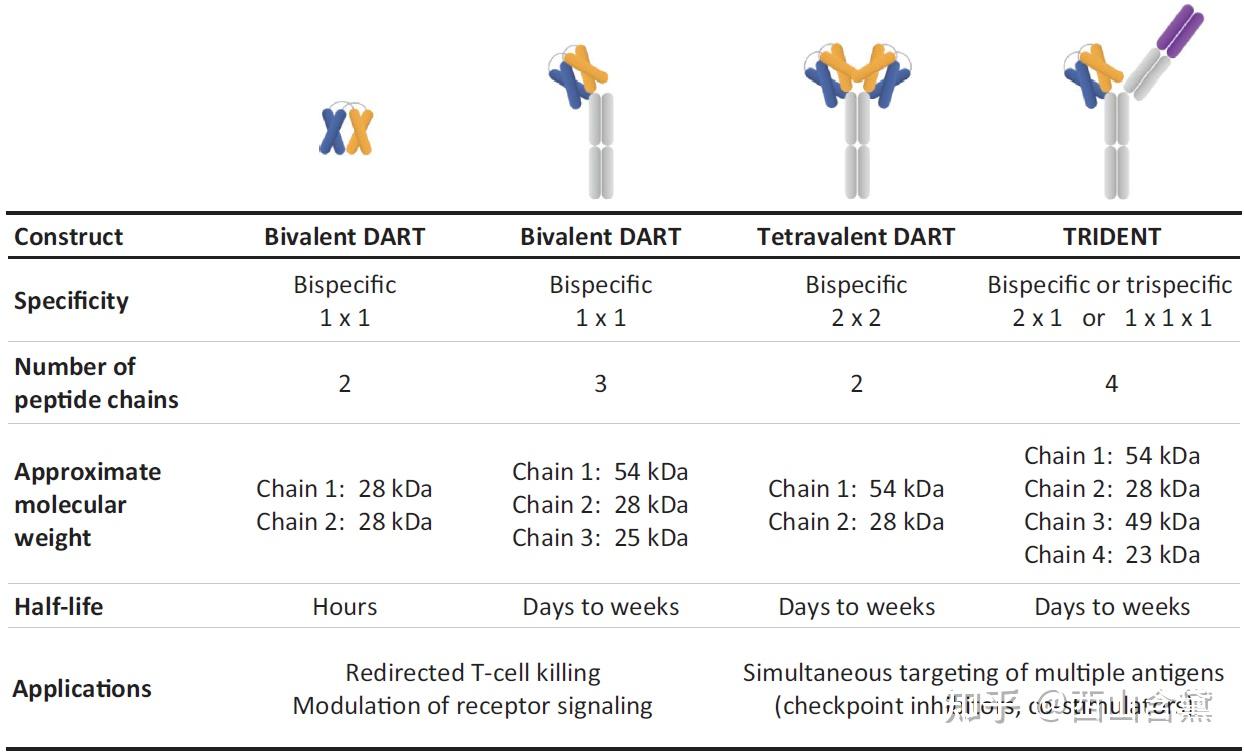国内外知名企业ADC技术平台(第十二期，MacroGenics） - 知乎