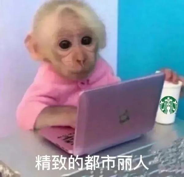 吗喽表情包、猴子表情包，高清无水印 - 知乎