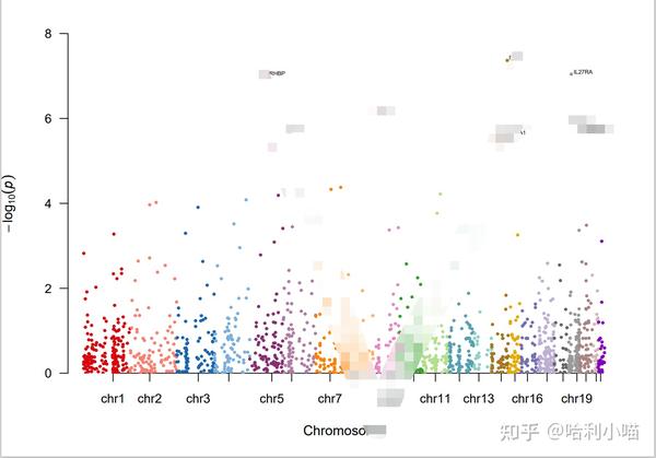 pQTL MR 绘制曼哈顿图 - 知乎