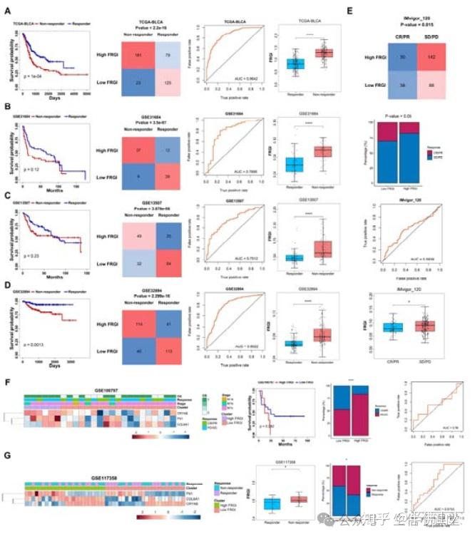 最新15+纯生信，单细胞识别成纤维细胞基因，结合机器学习建模，值得模仿！ - 知乎
