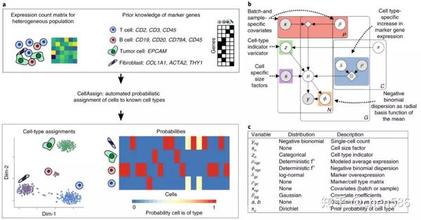 cellassign：用于肿瘤微环境分析的单细胞注释工具（9月Nature） - 知乎
