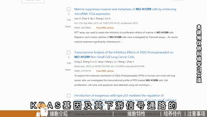 NCI-H1299细胞培养，人非小细胞肺癌细胞培养攻略 - 丰晖生物 - 知乎