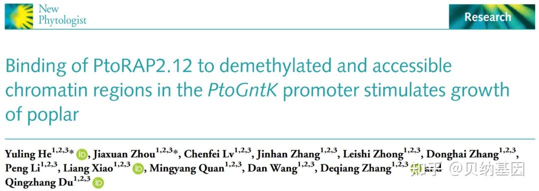 New Phytol详解 | 多组学揭示表观遗传学调控杨树生长发育新机制 - 知乎