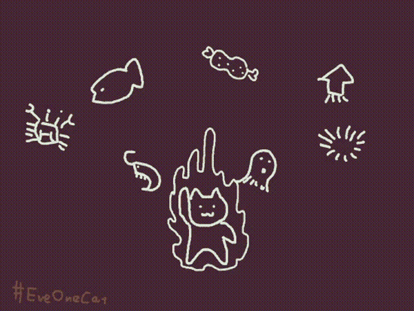 魔性猫猫everyday one cat 表情包 - 知乎