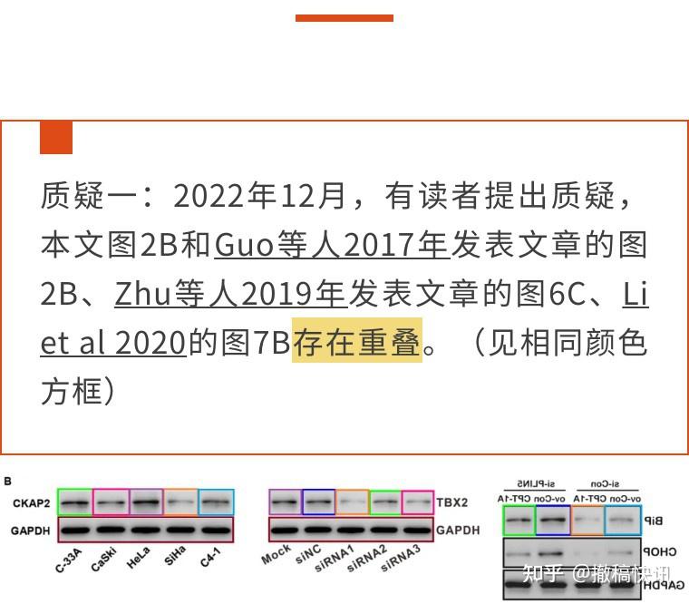 张家港市第一人民医院的论文因WB条带图片问题被同行质疑 - 知乎