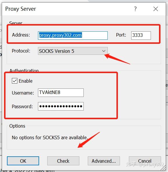 Proxifier怎么设置Proxy302代理？ - 知乎