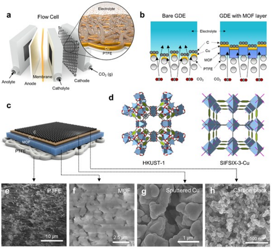 大牛Sargent今日Adv. Mater.：高速CO₂RR制乙烯，性能提升15倍 - 知乎