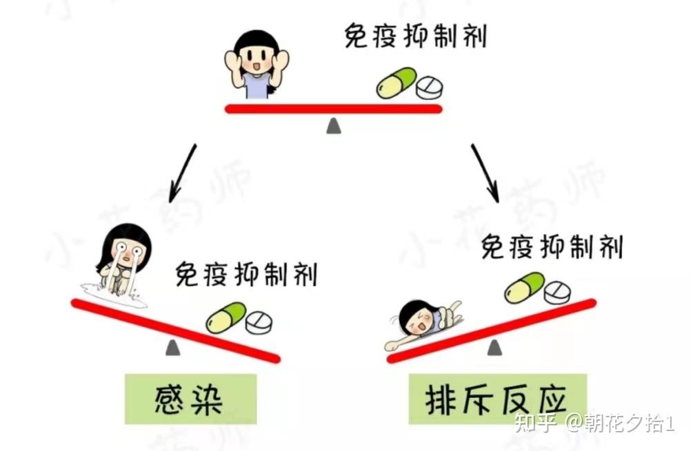 免疫抑制剂口服注意事项 - 知乎