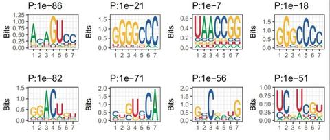 MeRIP-seq分析流程｜m6A-seq分析流程 - 知乎