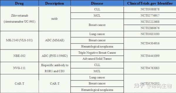 肿瘤免疫靶点 | ROR1 - 知乎