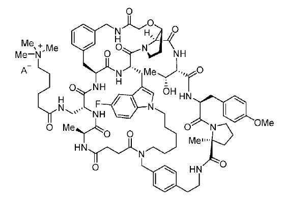 来源于噬菌体和mRNA展示的环肽：Peginesatide，MK-0616 - 知乎