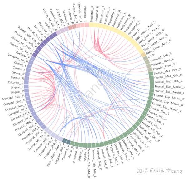 circos脑网络连接图绘制的保姆级教程 - 知乎