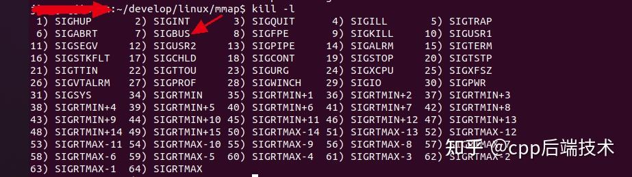 全面解析linux中mmap的底层原理及其应用 - 知乎
