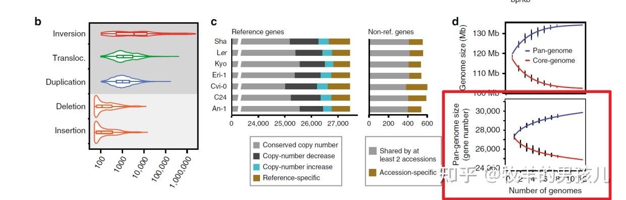 跟着Nature Communications学作图：R语言箱线图和拟合曲线展示泛基因组中的基因家族数量 - 知乎