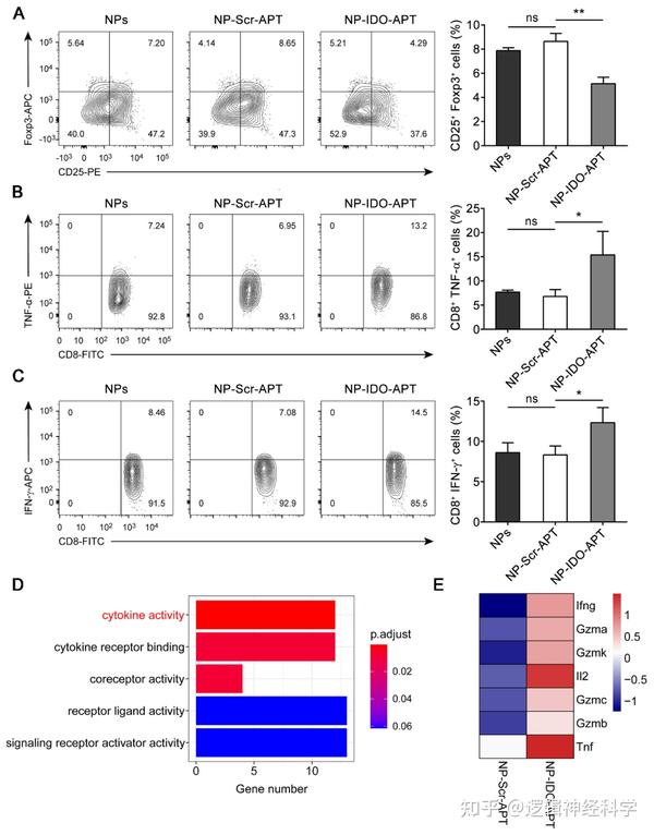 iScience︱北京大学尹玉新团队报道具有抗肿瘤作用的IDO1特异性核酸适配体 - 知乎