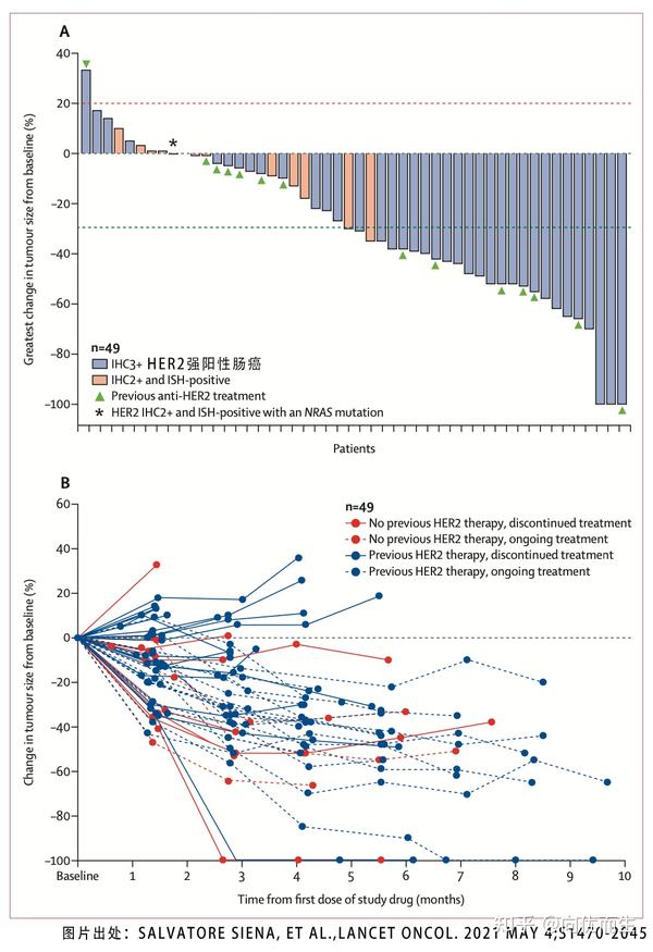 HER2阳性晚期结直肠癌：新的靶向药物来了！ - 知乎