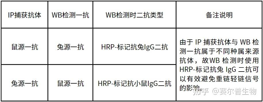IP /Co-IP 疑难：input对照、阴性对照是指什么？Co-IP如何去除重链轻链？IP磁珠该怎么选？ProteinA/G该如何选择？ - 知乎