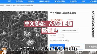 HCT-8细胞培养，人结直肠腺癌细胞培养攻略 - 丰晖生物 - 知乎
