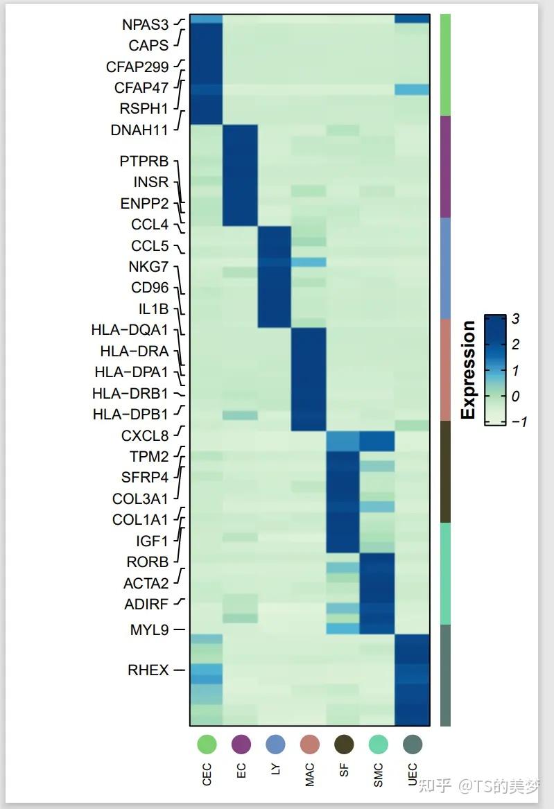 marker基因注释热图可视化函数（视频教程-通用函数） - 知乎