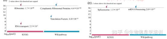 想要IF6+, meta分析联合生信分析就够了 - 知乎