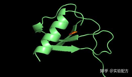 pymol可视化Vina结果 - 知乎
