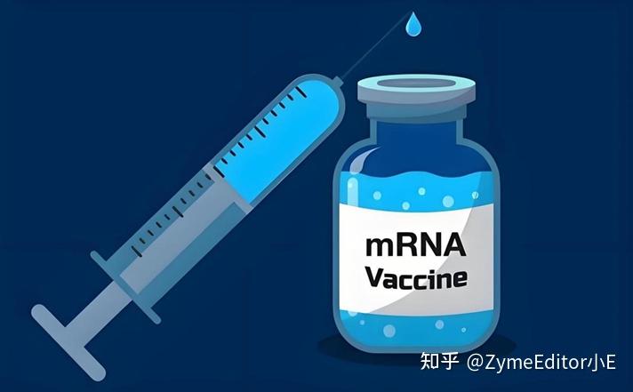 重磅 | 3大策略：如何通过优化T7 RNA聚合酶提升mRNA药物安全性？ - 知乎