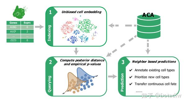 如何使用 Cell BLAST 来注释单细胞的细胞类型 - 知乎