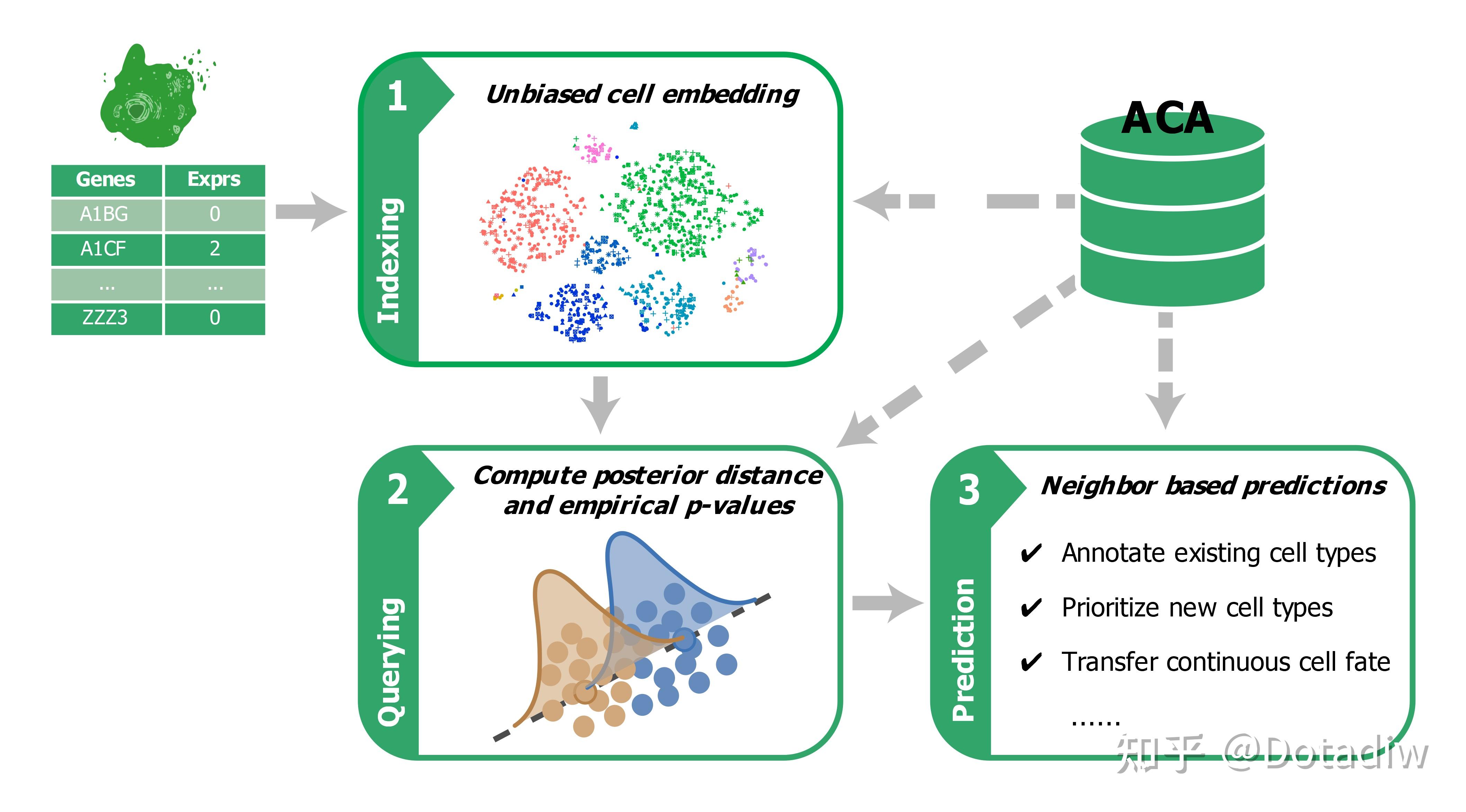 如何使用 Cell BLAST 来注释单细胞的细胞类型 - 知乎