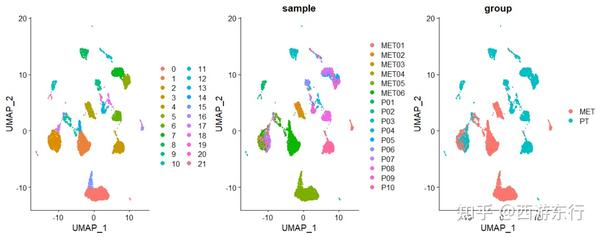 scRNA分析|多样本merge 和 harmony去批次 - 知乎