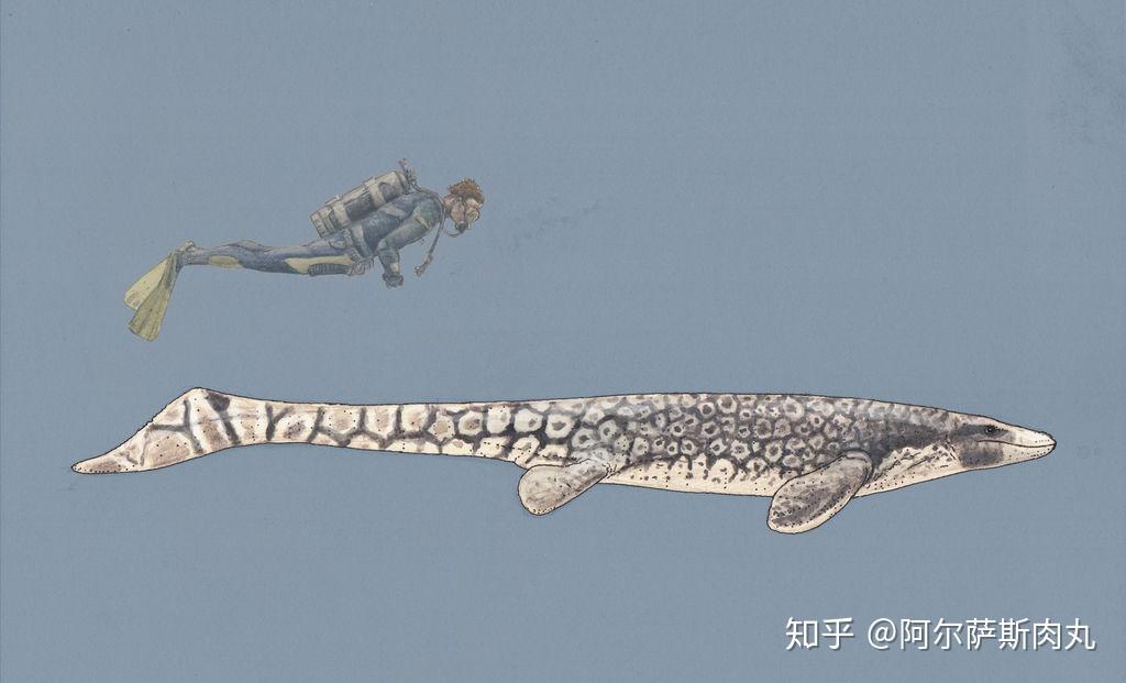 「Legend of Cretaceous丨白垩传 4」沧海沉浮（下）：龙游四海 - 知乎