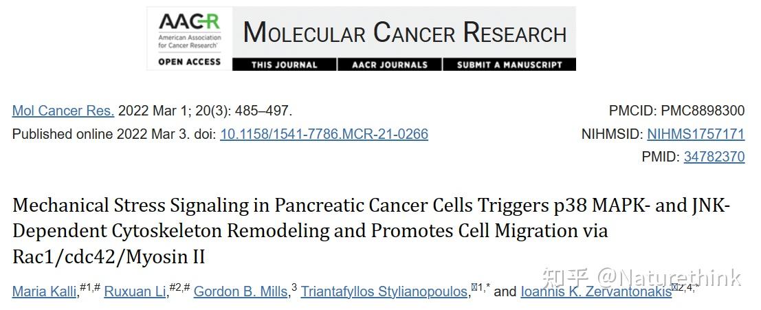 胰腺癌细胞中的机械应力信号触发p38 MAPK和JNK依赖性细胞骨架重塑，并通过Rac1 / cdc42 / 肌球蛋白II促进细胞迁移 - 知乎