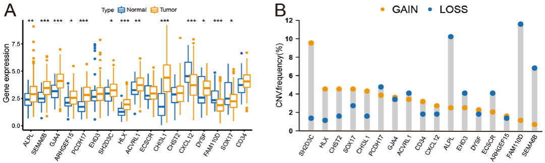 从临床问题切入，分析壁外血管侵犯(EMVI)和免疫相关基因！这篇8分+生信文章极具借鉴意义，还告诉你验证实验这么加更有价值~ - 知乎