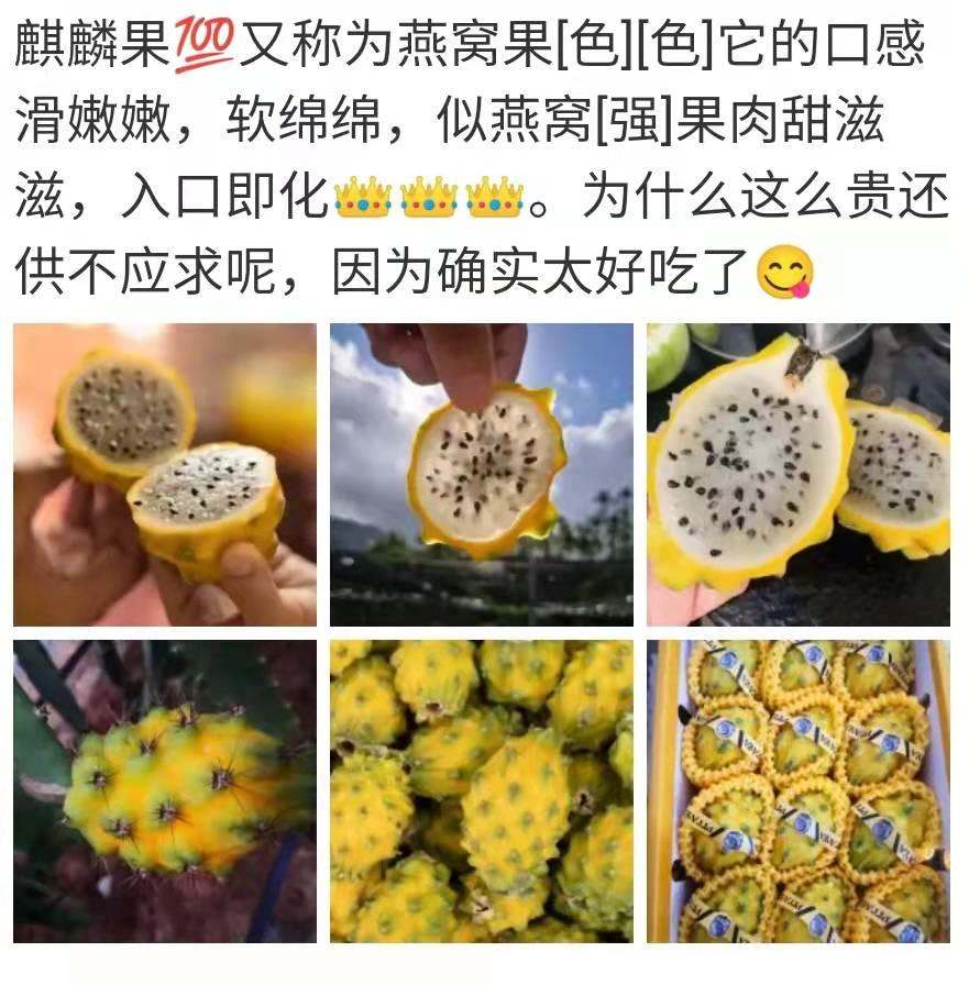水果店文案:水果麒麟果燕窝果文案,水果麒麟果燕窝果文案示例 知乎