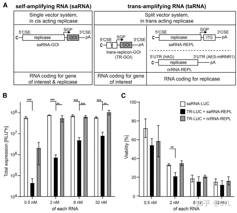 【文献翻译】一种诱导强保护性免疫的反式扩增RNA疫苗策略 - 知乎