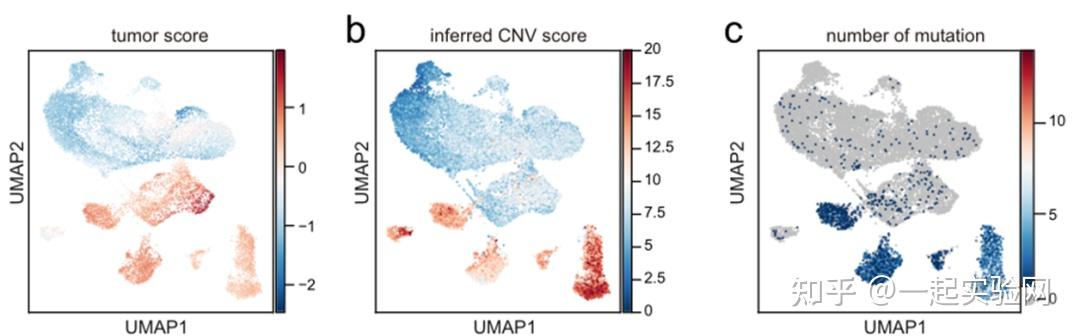 胃癌的scRNA-seq显示了复杂的细胞间相互作用和可选择的T细胞衰竭轨迹 - 知乎