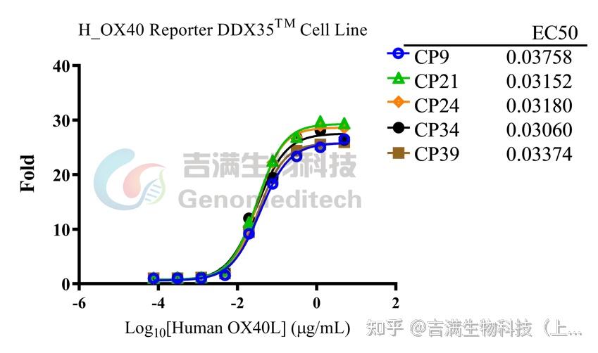 OX40/OX40L：横跨炎症、自免、肿瘤的全能选手 - 知乎